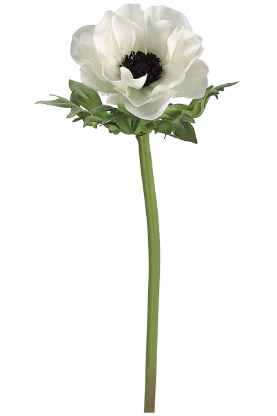 White Anemone Poppy - Boutique Marie Dumas